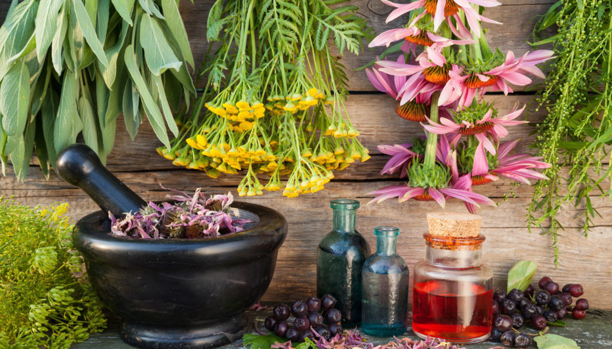 What makes natural cosmetics ‘natural’? - Blog - Manna. Feel the ...