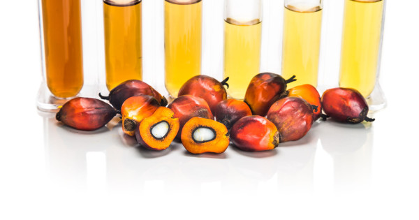 5 deterring facts that you surely dont know about palm oil - Blog ...